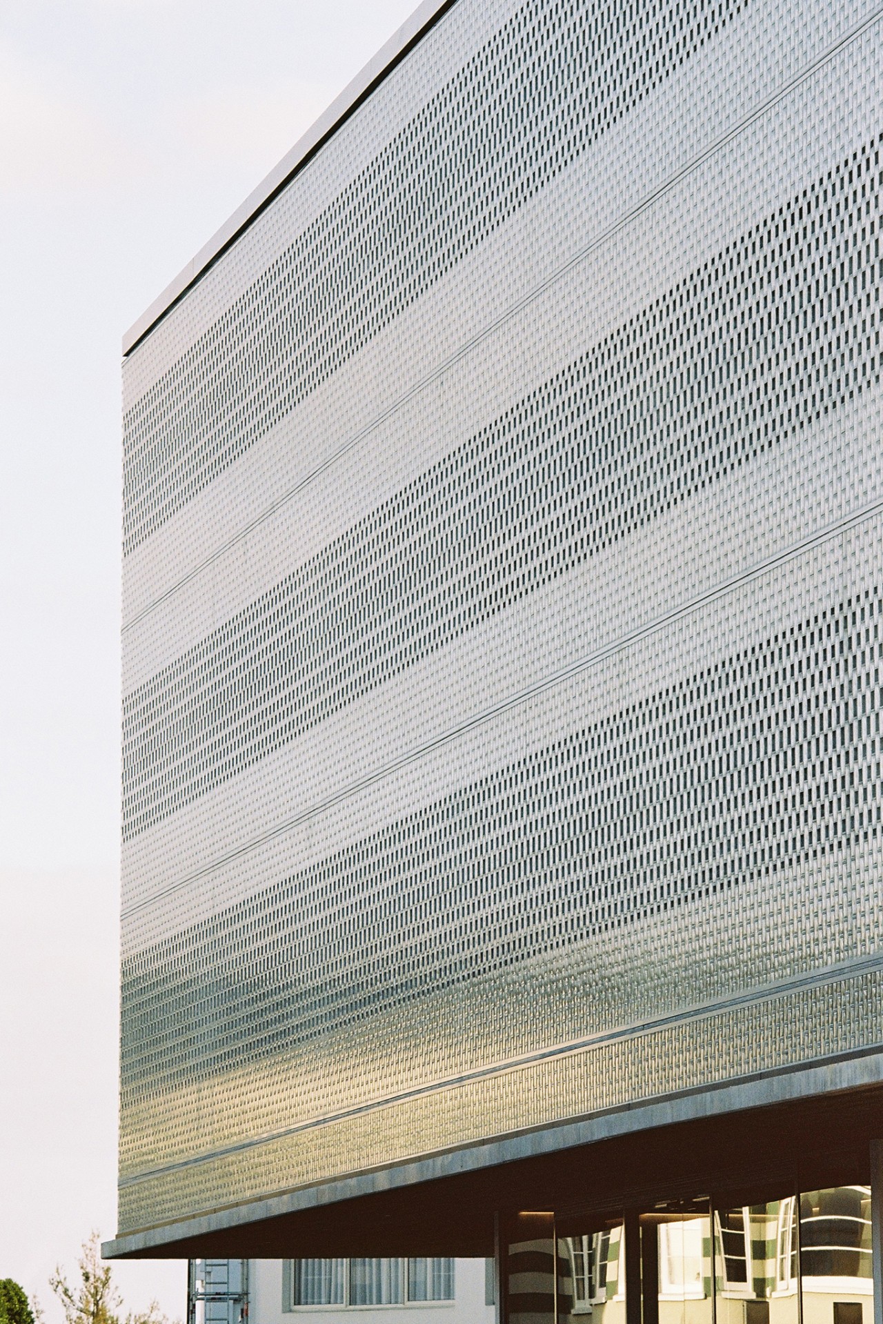 Monk Mackenzie - Edition