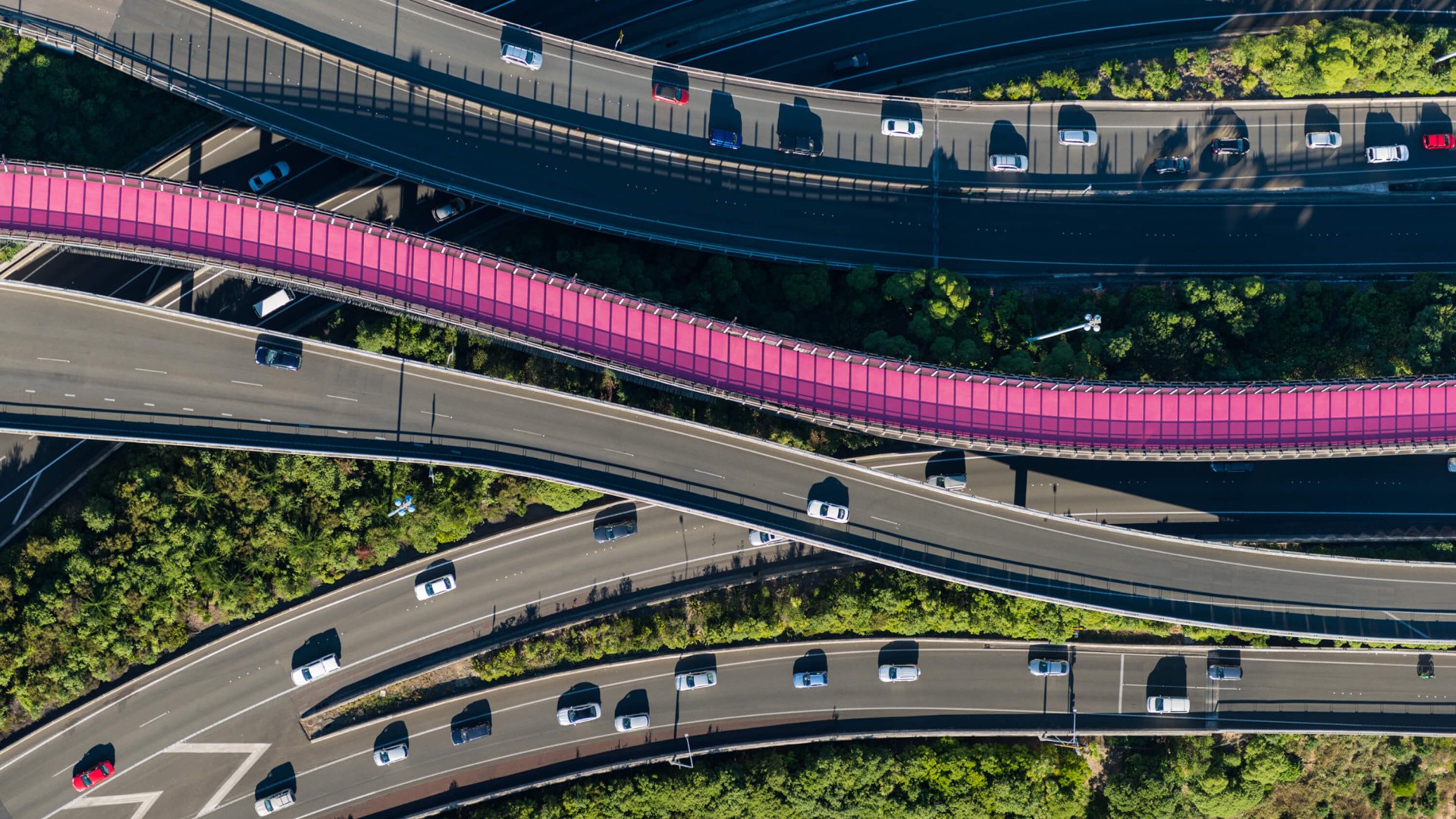 Monk Mackenzie - The Lightpath